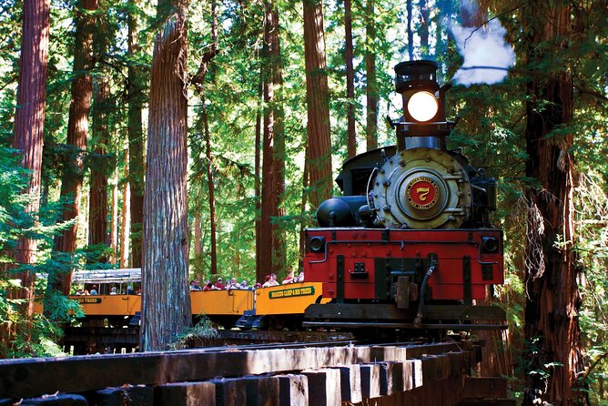 Redwood Forest, Santa Cruz Harbor 1-Day Trip from San Francisco - Exploring the Redwood Forest and Santa Cruz in a Day: A Practical Tour Review