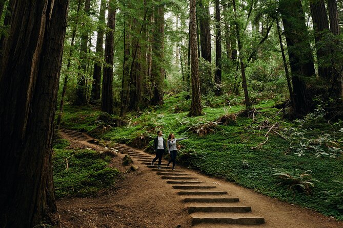 San Francisco to Muir Woods Shuttle - FAQs