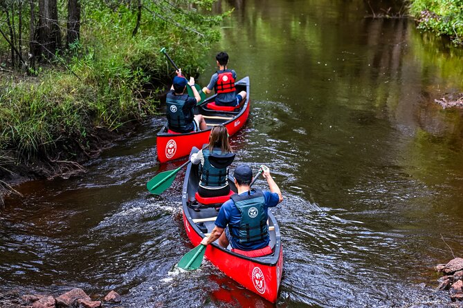 Short River Kayak Tour in New Jersey - Analyzing the Value