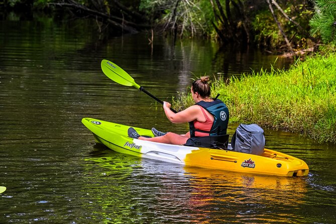 Short River Kayak Tour in New Jersey - The Experience from a Review Perspective  