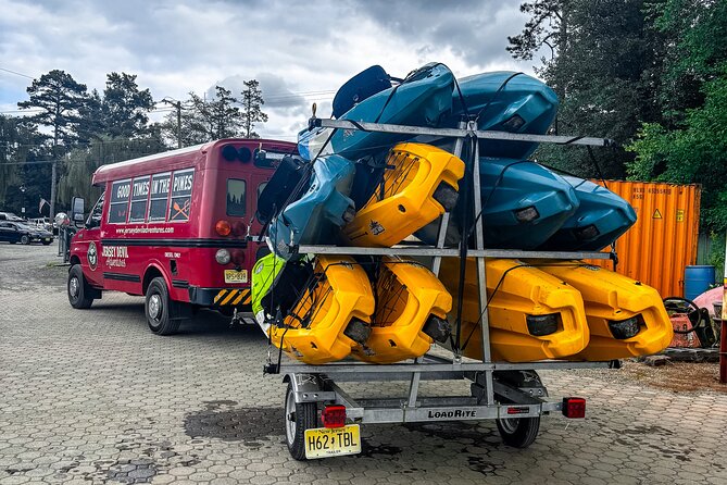 Short River Kayak Tour in New Jersey - Final Thoughts  