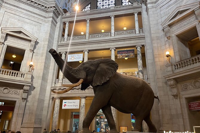 Smithsonian Natural History Museum Exclusive Guided Tour - Why Travelers Love This Tour
