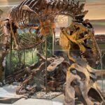 Smithsonian Natural History Museum Exclusive Guided Tour - Cost, Duration, and Value