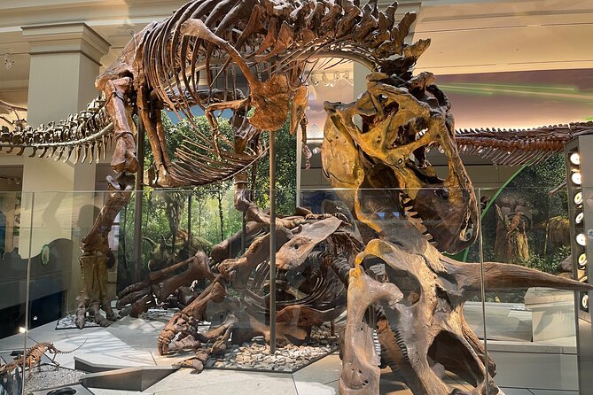Smithsonian Natural History Museum Exclusive Guided Tour - Cost, Duration, and Value