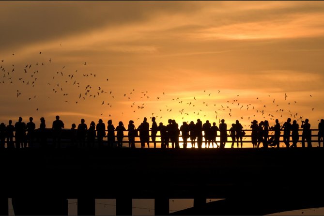 Sunset Skyline Kayak Tour - What’s Included and What You Need to Bring
