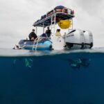 The Best 2.5 Hour Molokini Snorkel Tour & Whale Watch - Snorkeling at Molokini