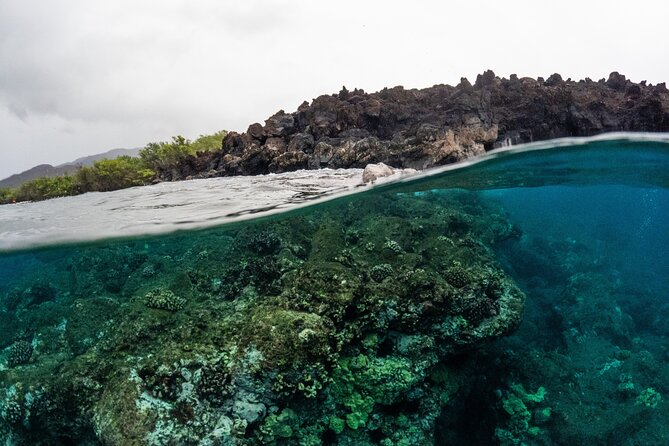 The Best 2.5 Hour Molokini Snorkel Tour & Whale Watch - Comfort and Practicalities