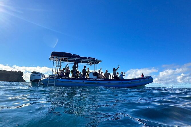 The Best 2.5 Hour Molokini Snorkel Tour & Whale Watch - Who Should Consider This Tour?