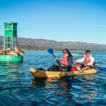 Wildlife Kayak Tour in Santa Barbara Harbor (2 Hours) - The Experience Itself: Step-by-Step Breakdown