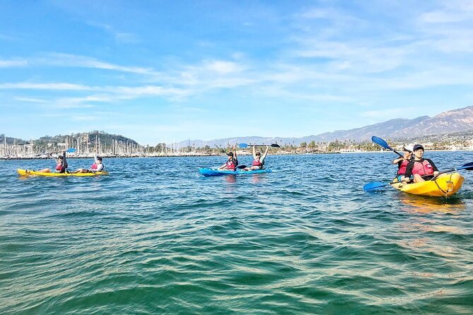 Wildlife Kayak Tour in Santa Barbara Harbor (2 Hours) - Final Thoughts: Is It Worth It?