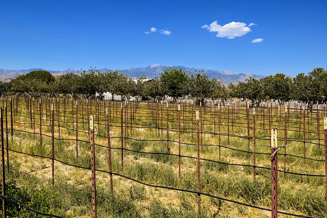 Wine Tasting Tour from Las Vegas with Snacks - What Makes This Tour Stand Out?