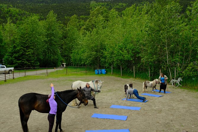 Yoga with Horses - Who Will Love This Tour?