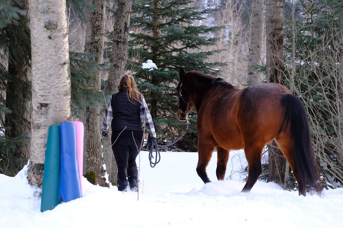 Yoga with Horses - FAQ